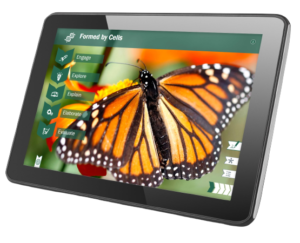 Science Bits | SOINED